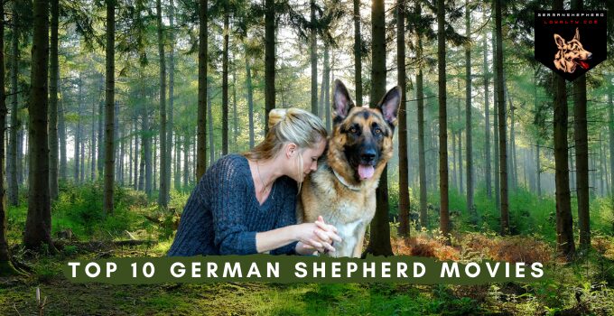 Top 10 German Shepherd Movies Featuring Dog German Shepherd
